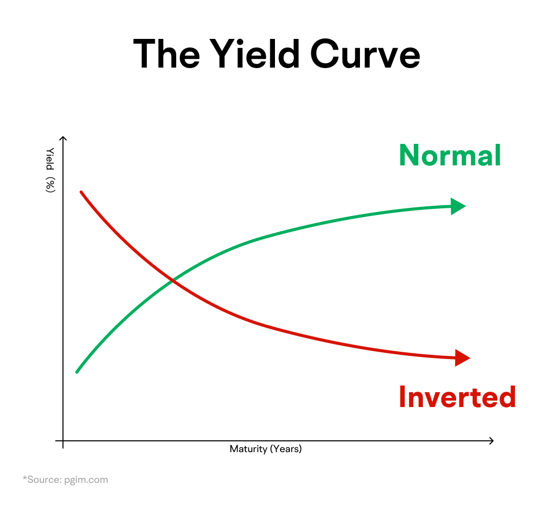 Discover the bond market: A quick and easy guide