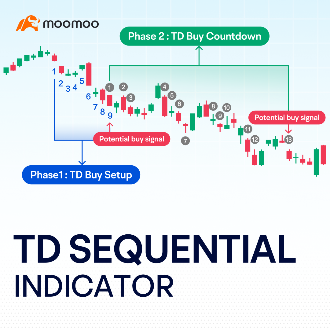 Introduction to the TD Sequential