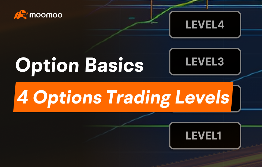 4 Options Trading Levels
