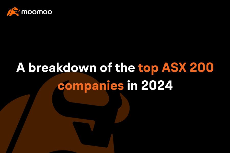 A breakdown of the top ASX 200 companies in 2024