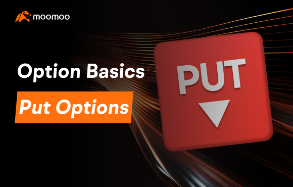 Put Options: Hedging Your Portfolio