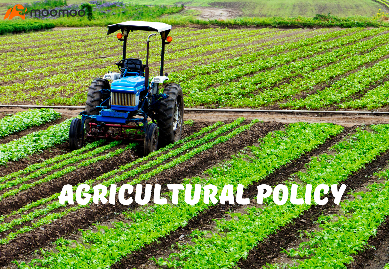 Top 6 Plantation Companies and Stocks in Bursa Malaysia 2024