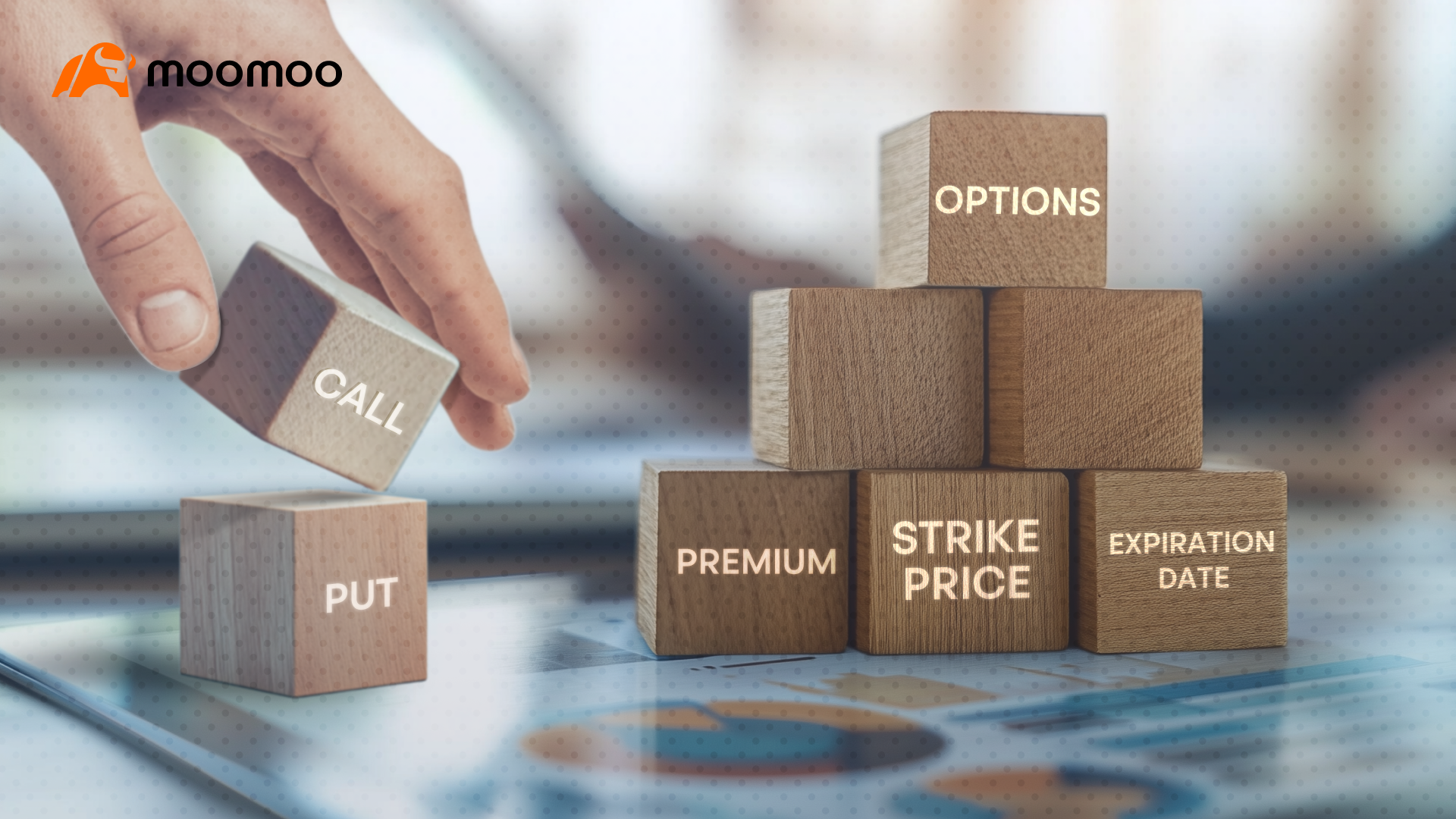 Lesson 1 - Understanding Options : A Beginner's Guide