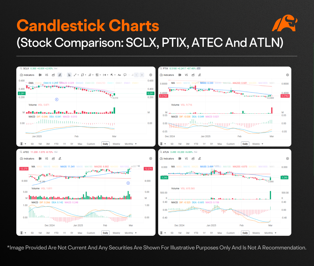 Decoding Chart Types: Choosing the Right View